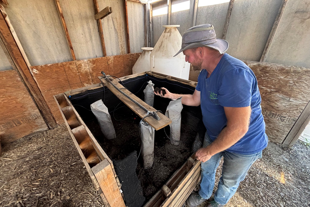 Composting gets classy - The Business Times